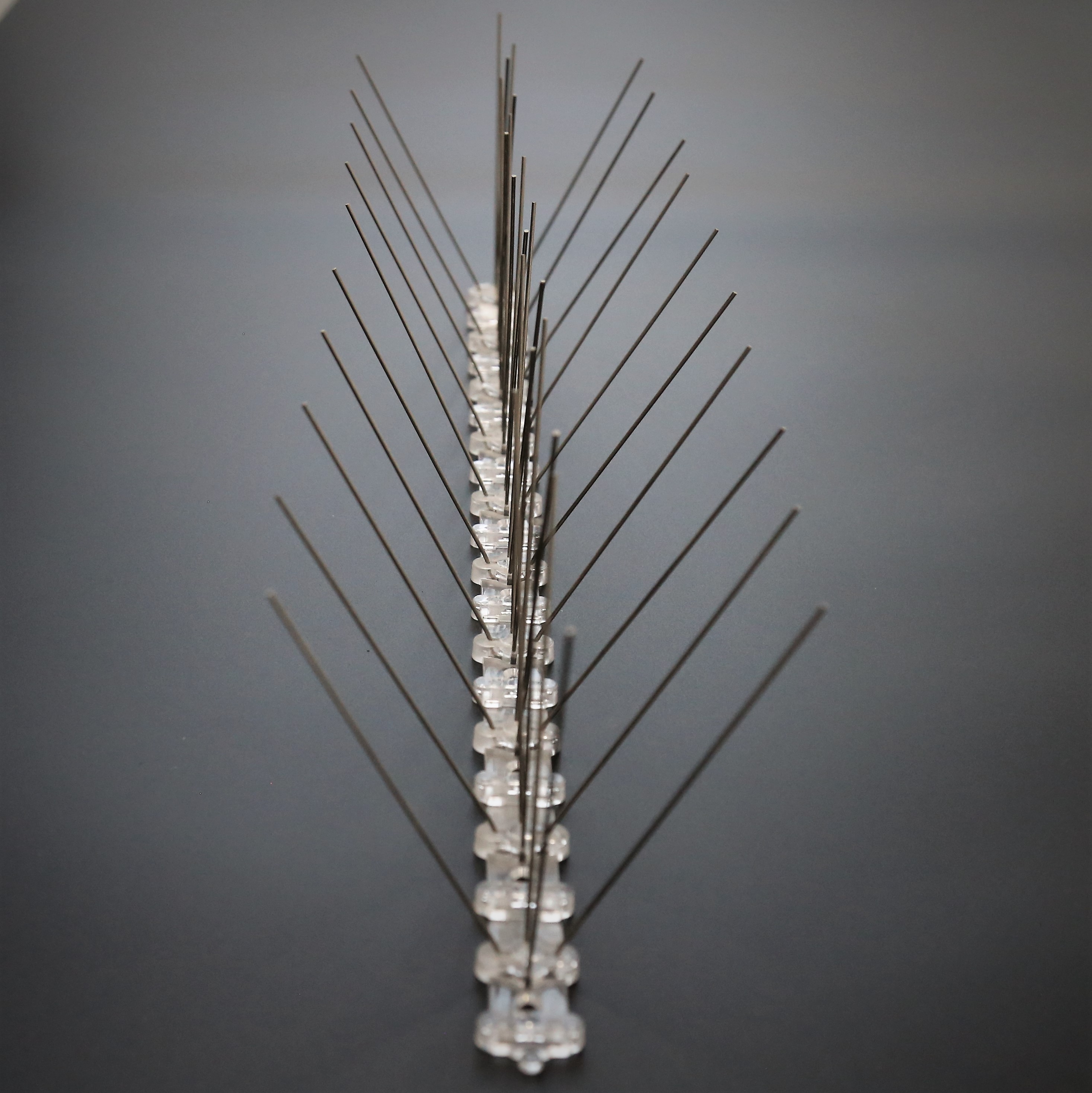 GKPC-66: Flexible base Plastic Pigeon Pest Control Spikes