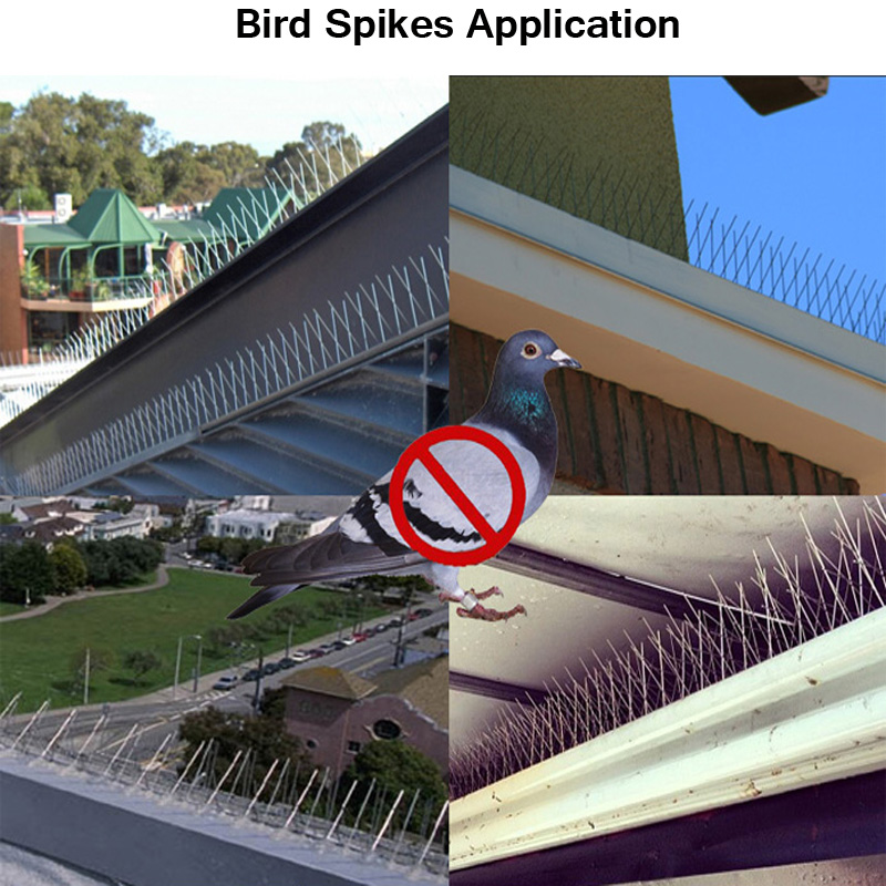 GKSS-3: Pigeon scarer devices stainless steel bird control spikes ...