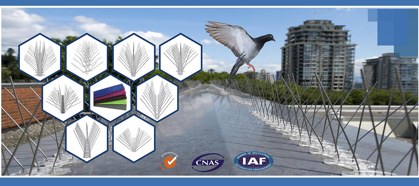 bird-control-banner - Bird Spike Control