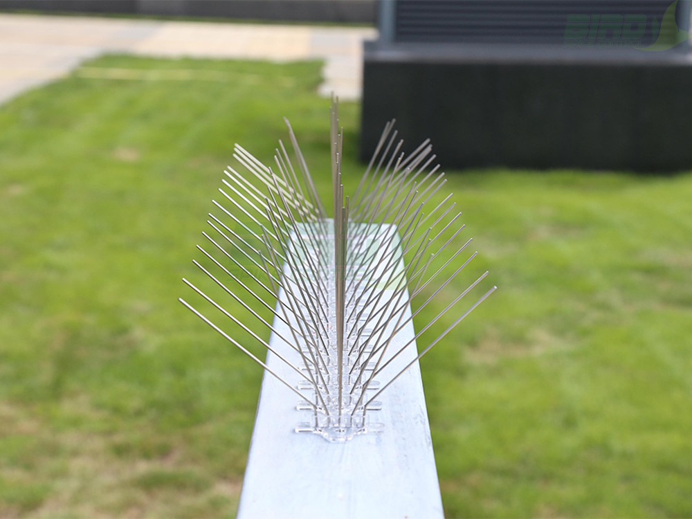 New delivery of bird spikes for Qatar - Bird Spike Control