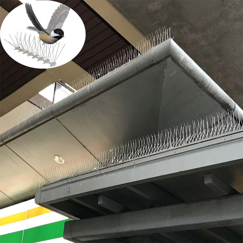 bird-spike-installation - Bird Spike Control