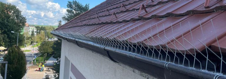 How to Stop Birds from Nesting on Your House - Bird Spike Control