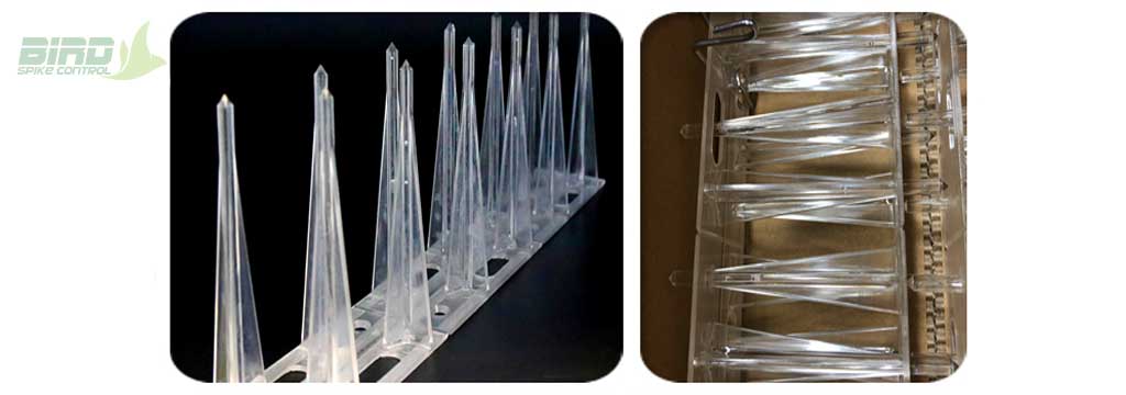 Plastic Bird Spikes - Bird Spike Control