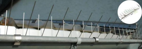 Stainless Steel Anti Bird Spikes for Gutters - Bird Spike Control