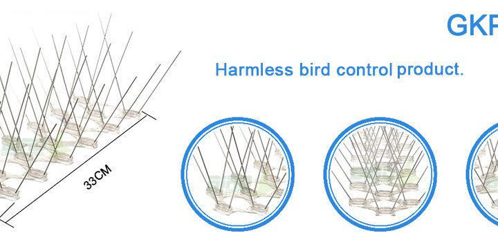 Stops Bird Nesting in Eaves - Bird Spike Control
